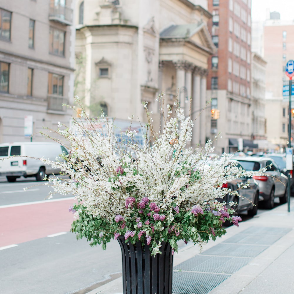 JacquelineClairPhoto - Etsy