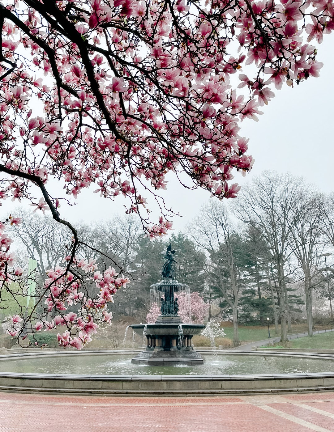 Bethesda Fountain in Spring // Central Park, NYC Travel Photography ...