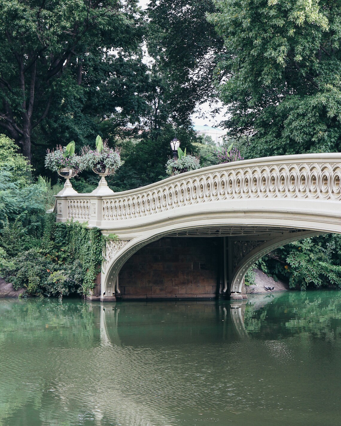 Bow Bridge // NYC Photography New York City Central Park - Etsy