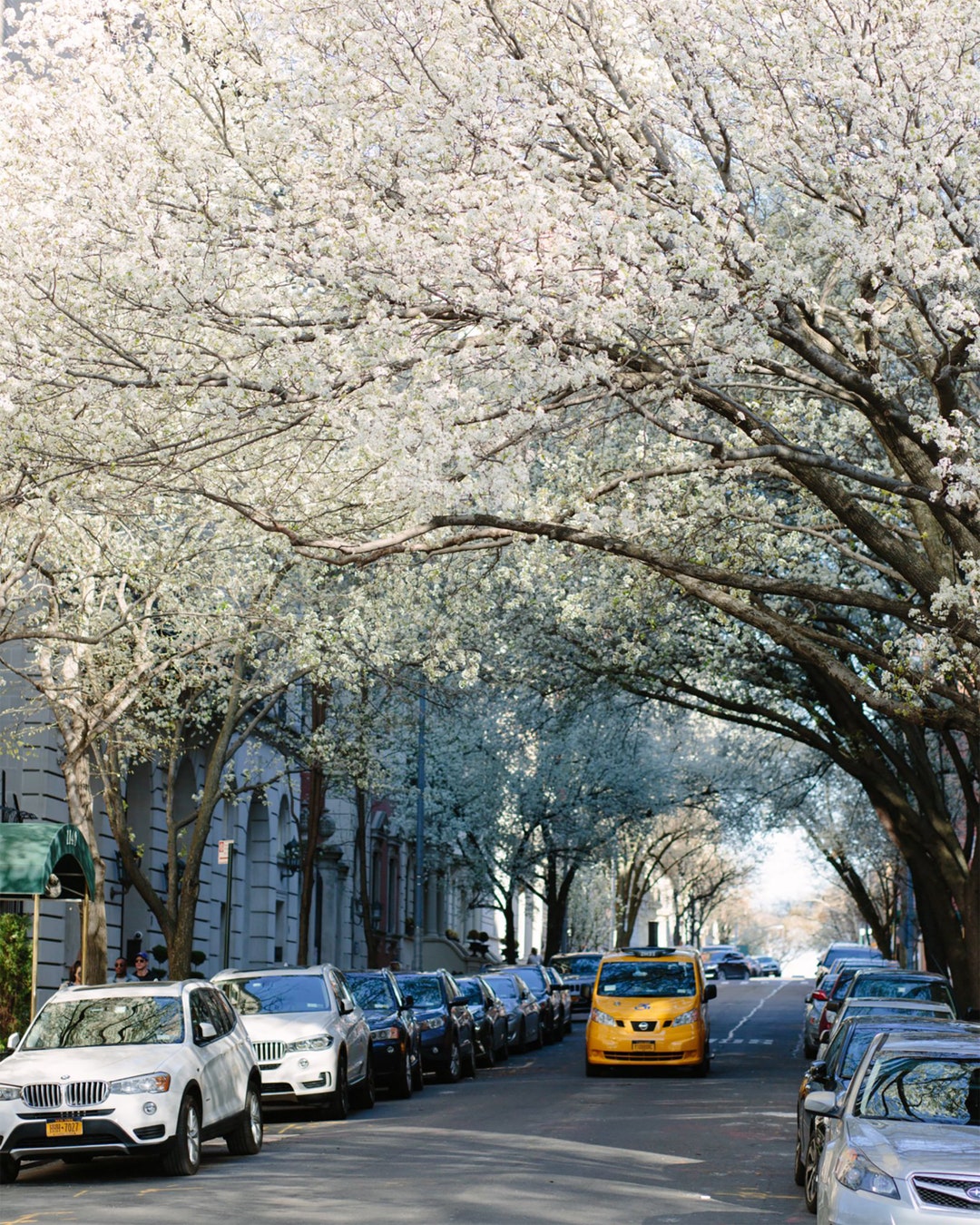 Spring on the Upper East Side - Etsy