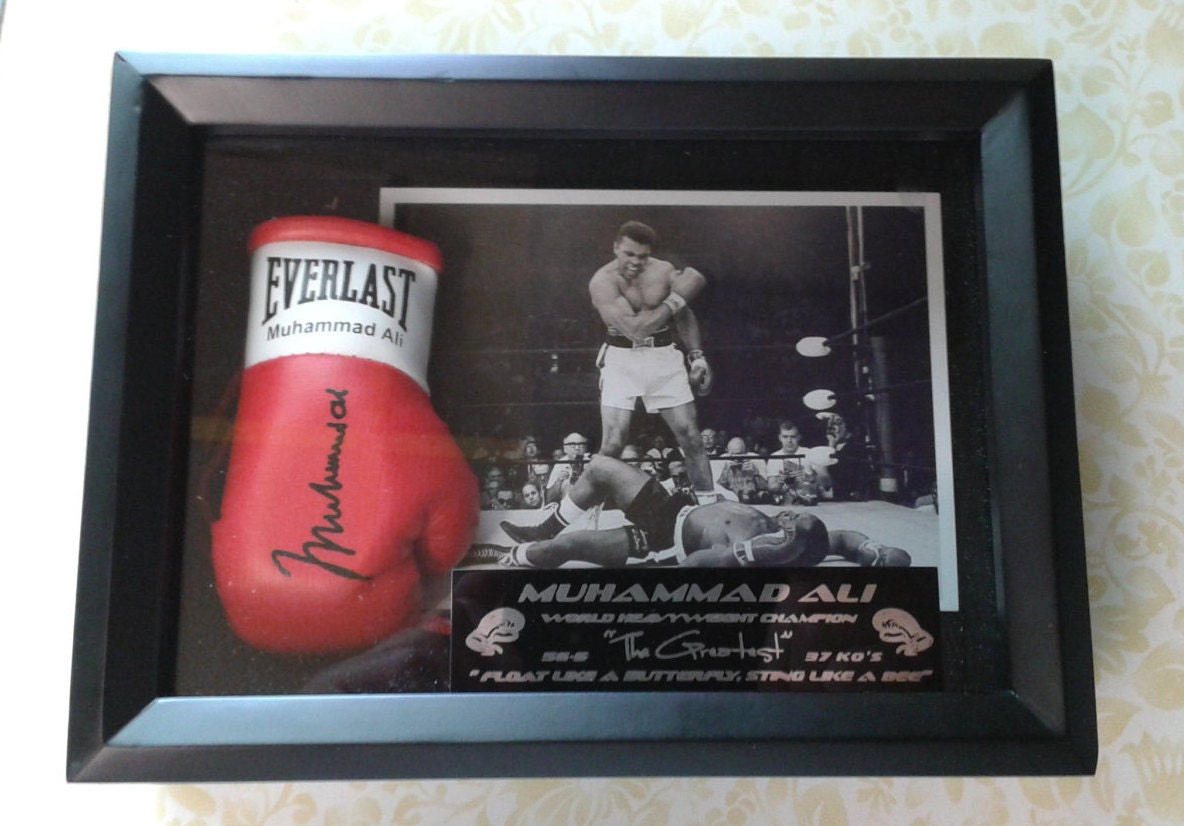 Great Gift for the Holidays a Mini Black Display Case With Autographed ...