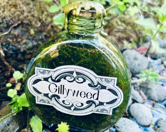 Gillyweed - Etsy