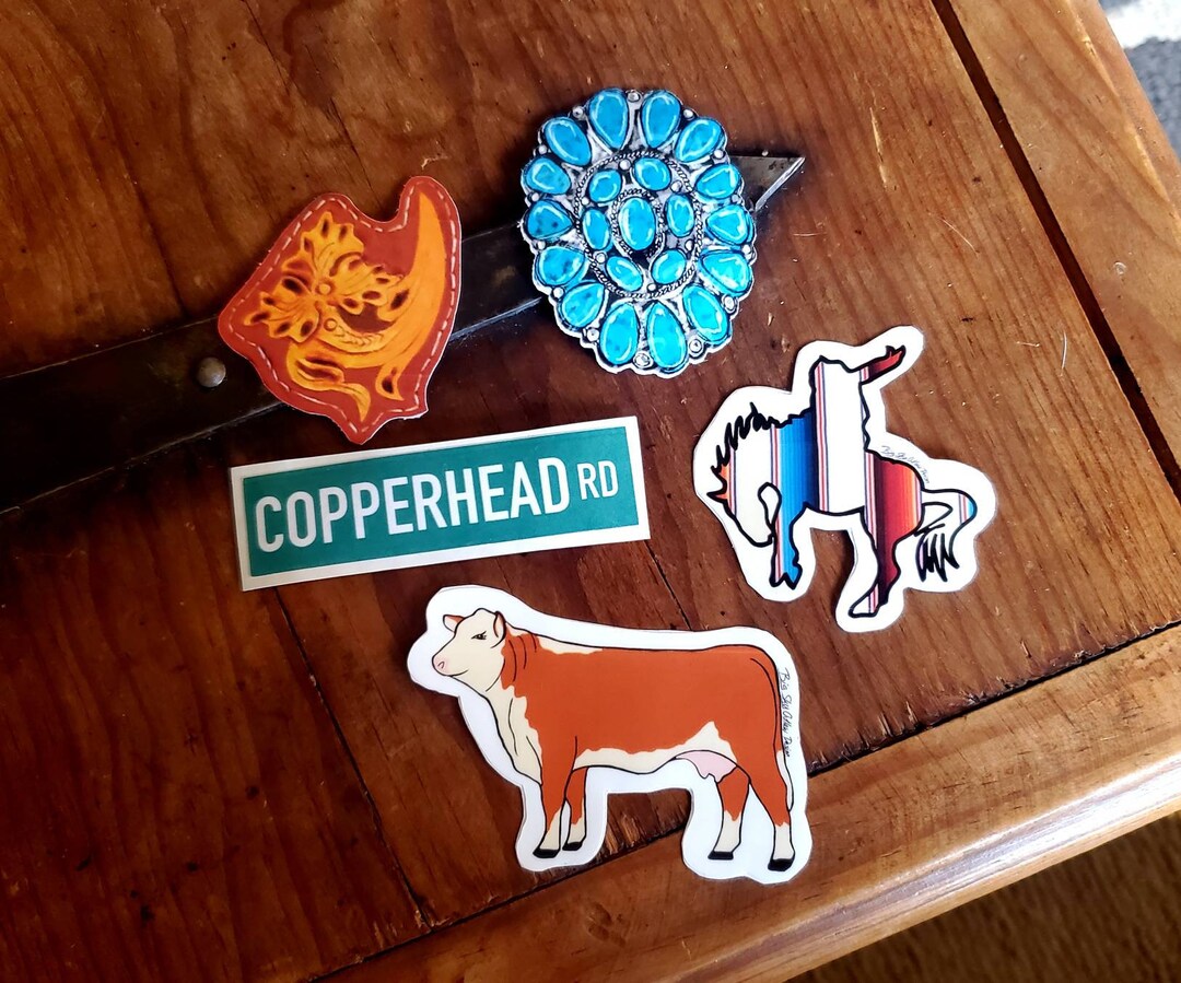 Western Sticker Pack 1 Punchy Bundle - Etsy