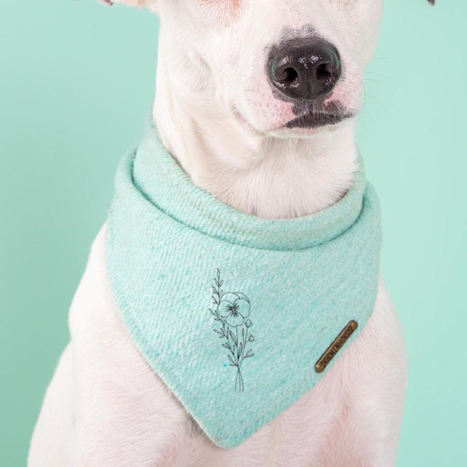 February Birthflowers Embroidery - Primrose & Violet Designs; Machine ...