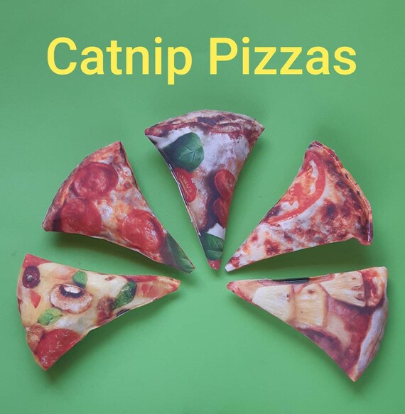 Realistic Pizza Cat Toy Handmade Catnip Toy Filled With | Etsy
