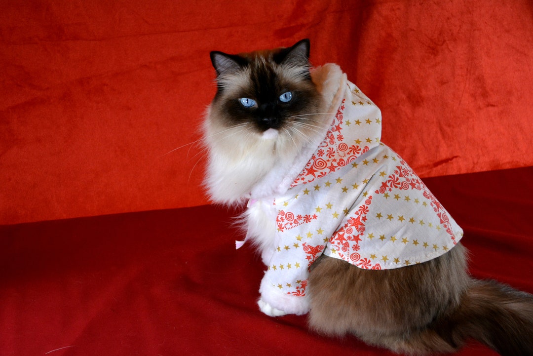 Cat Costume 'party Star' Cute Costume for Cat or Dog, Custom Costume ...