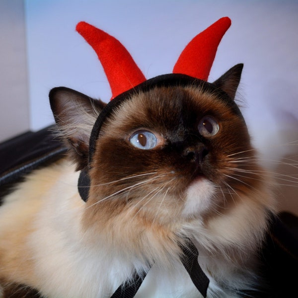 Devil Costume - Etsy Canada