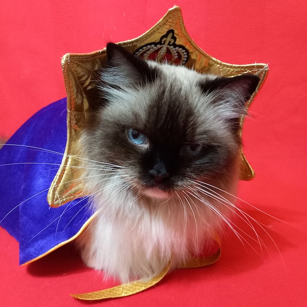Cat Prince Costume - Etsy