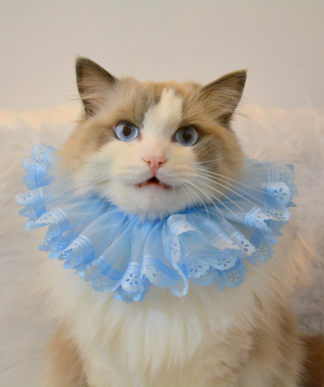 Pet Costume Ruffle Collar for Cats and Small Dogs in Baby Blue - Etsy
