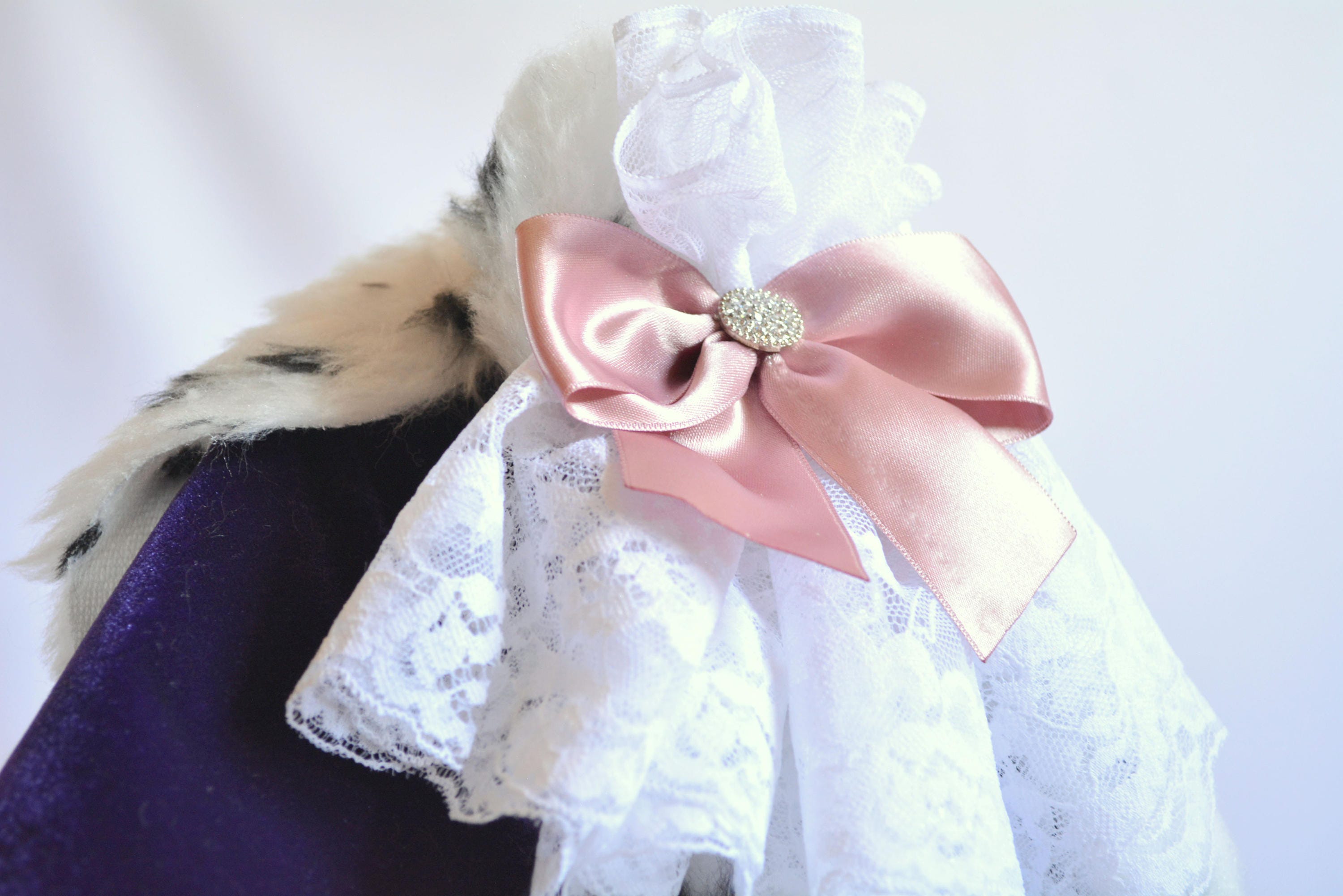 Luxury Royal Cat Costume Baroque Style Velvet Cloak Costume | Etsy