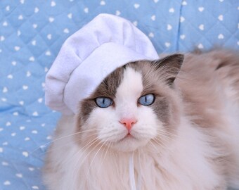 Chef Hat for Cats - Etsy