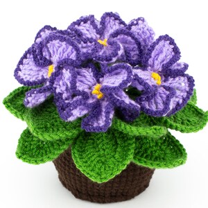 Crochet African Violets Pattern Crochet Pot With Flowers PDF | Etsy