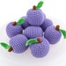 Crochet Plum PDF Pattern, Crochet Fruit, Kitchen Decoration, Pretend ...