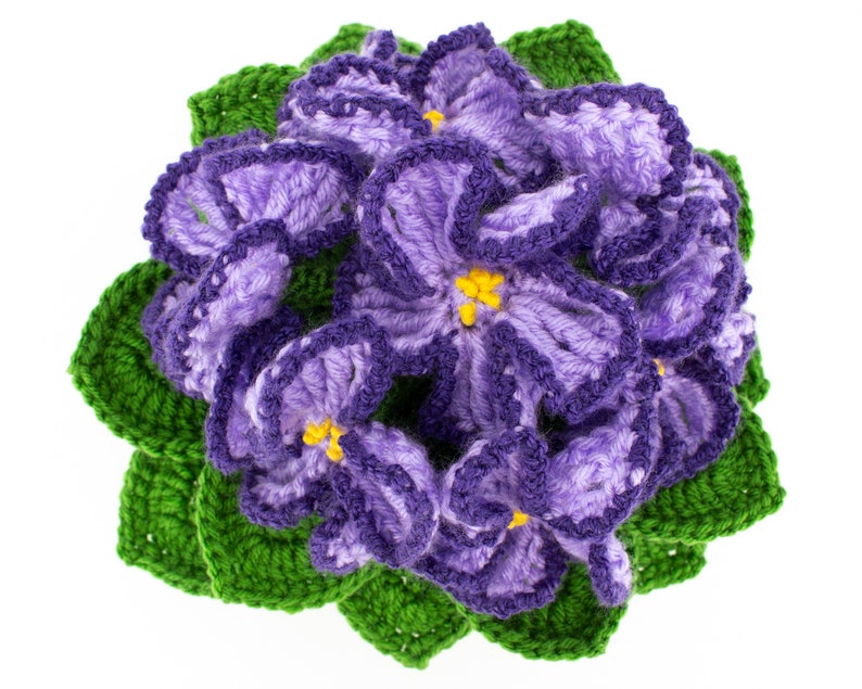 Crochet African Violets Pattern, Crochet Pot With Flowers PDF Pattern ...