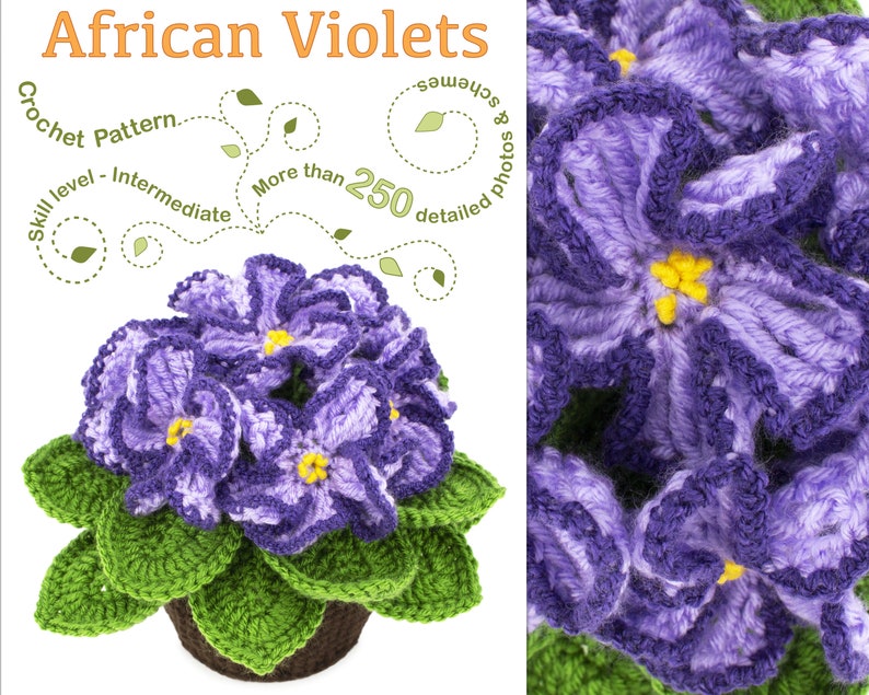 Crochet African Violets Pattern, Crochet Pot With Flowers PDF Pattern ...