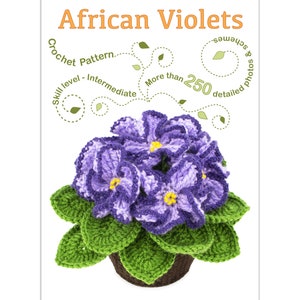 Crochet African Violets Pattern, Crochet Pot With Flowers PDF Pattern ...