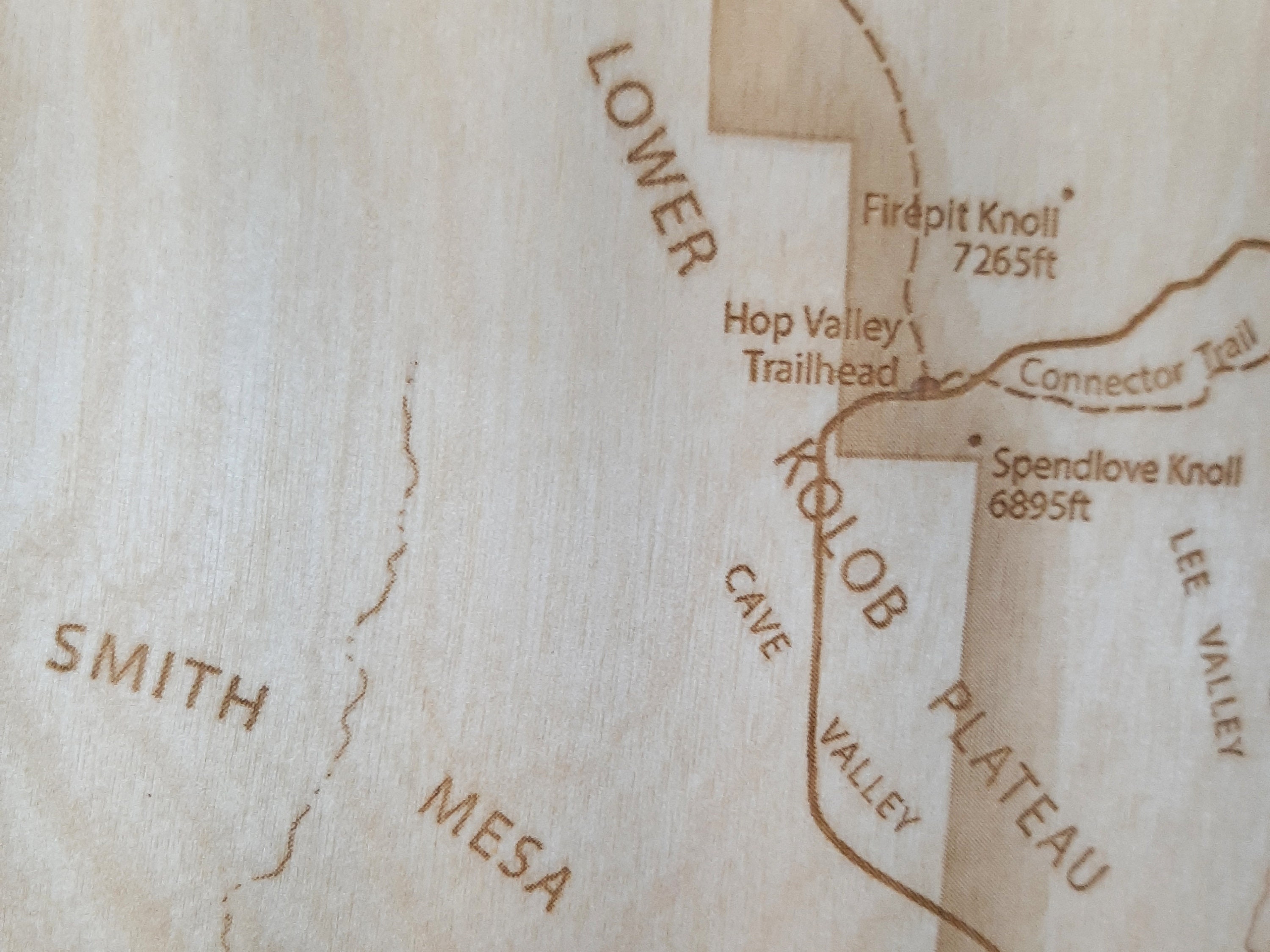 Wood Map of Zion National Park - Etsy