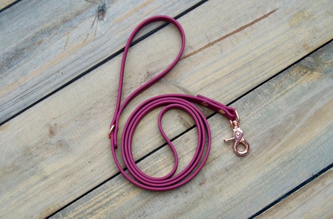 Single Color Biothane Dog Leash, 5/8 Inch Width Animal Leash, Lead ...