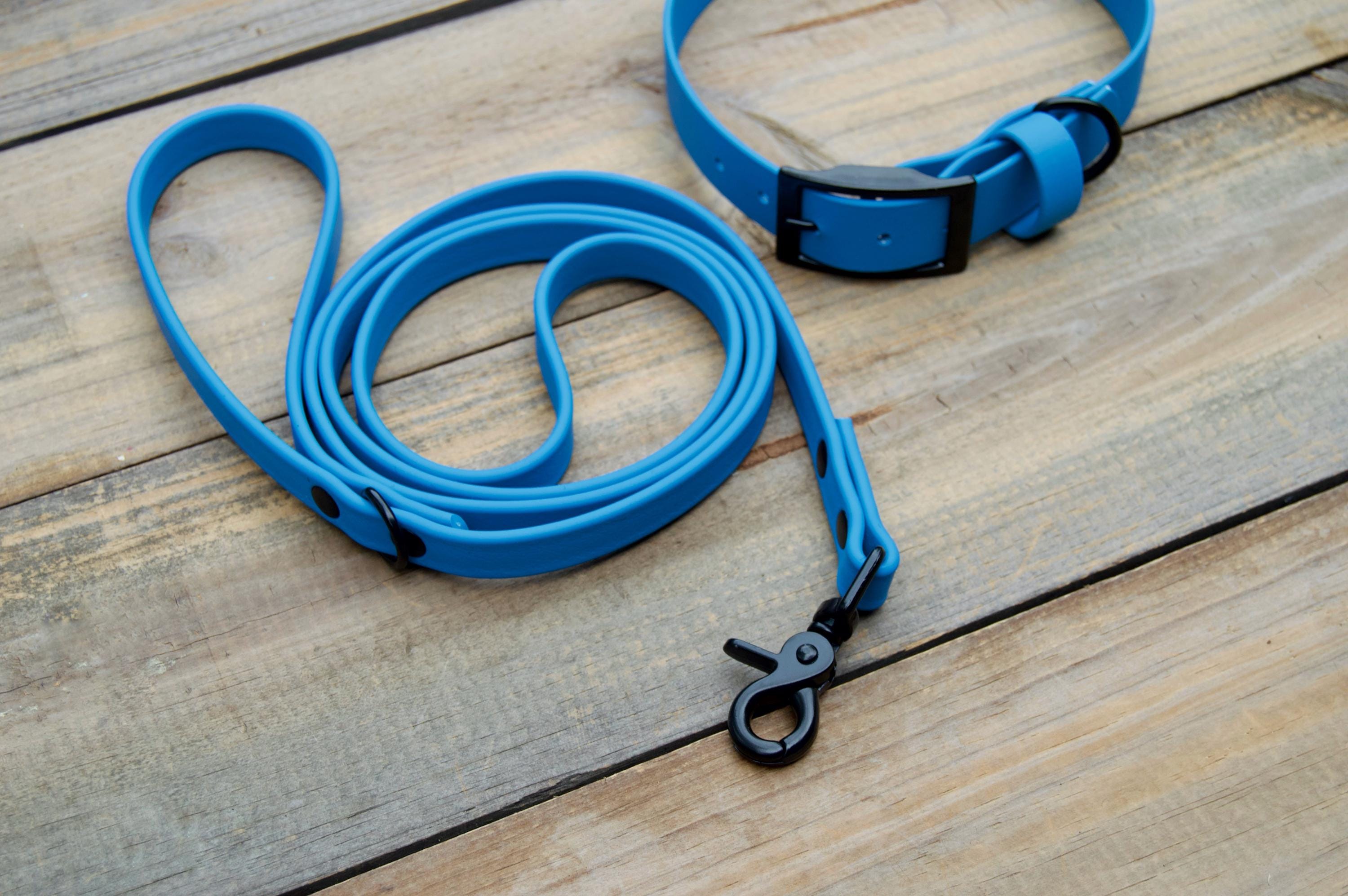 Bundle of Classic 1 INCH Biothane Dog Collar and 5/8 INCH Leash ...
