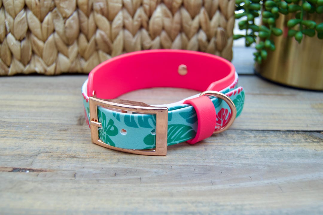 Monstera: Double Layer Printed Biothane Dog Collar 1" Inch and 1.5 ...