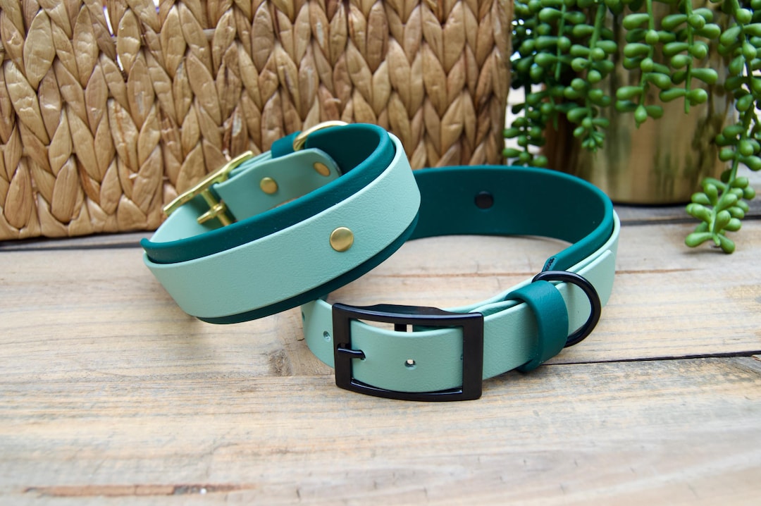 Sage Green and Emerald Green Double Layer Biothane Dog Collar: 1" Inch ...