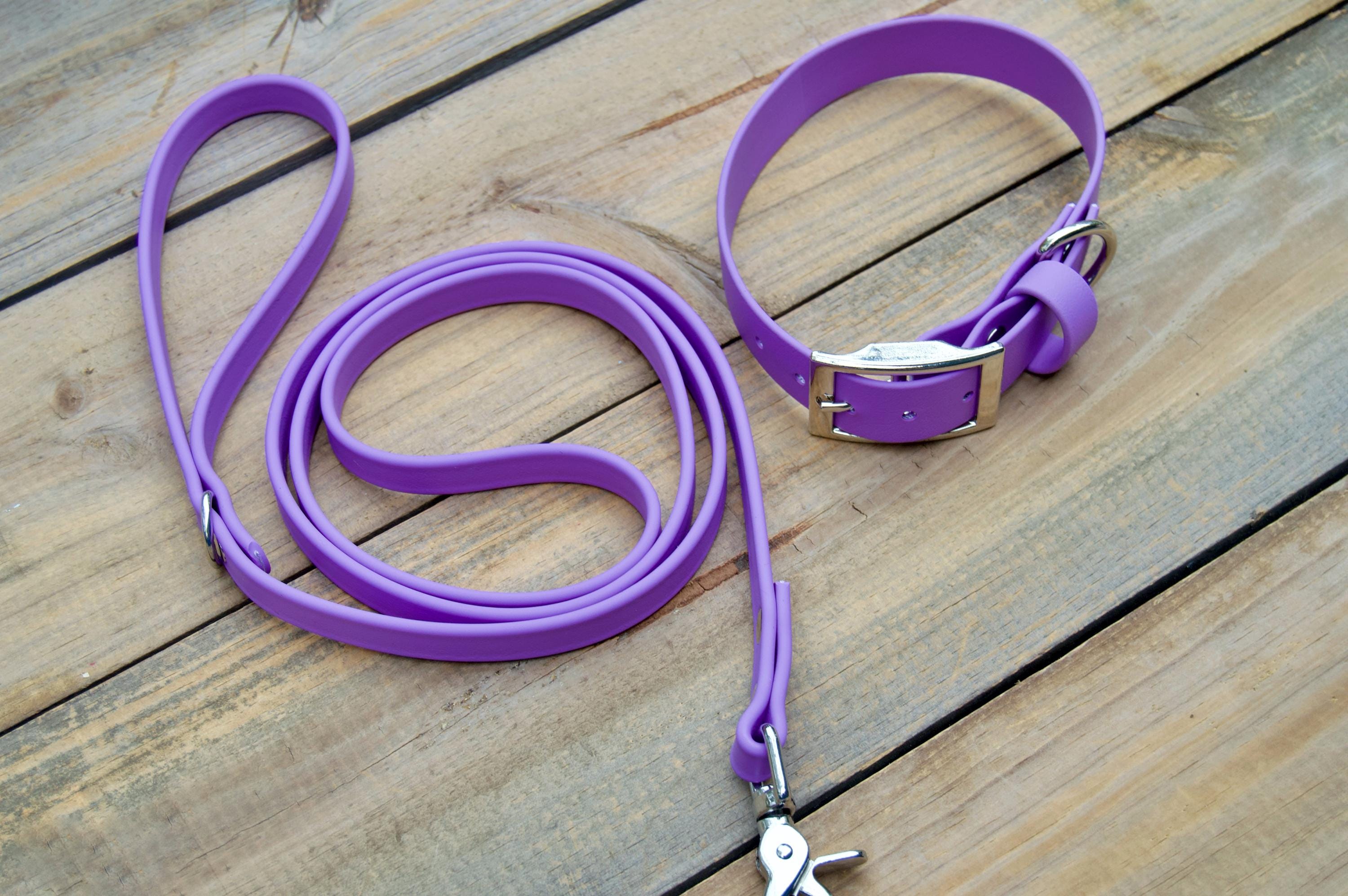 Bundle of Classic 1 INCH Biothane Dog Collar and 5/8 INCH Leash ...