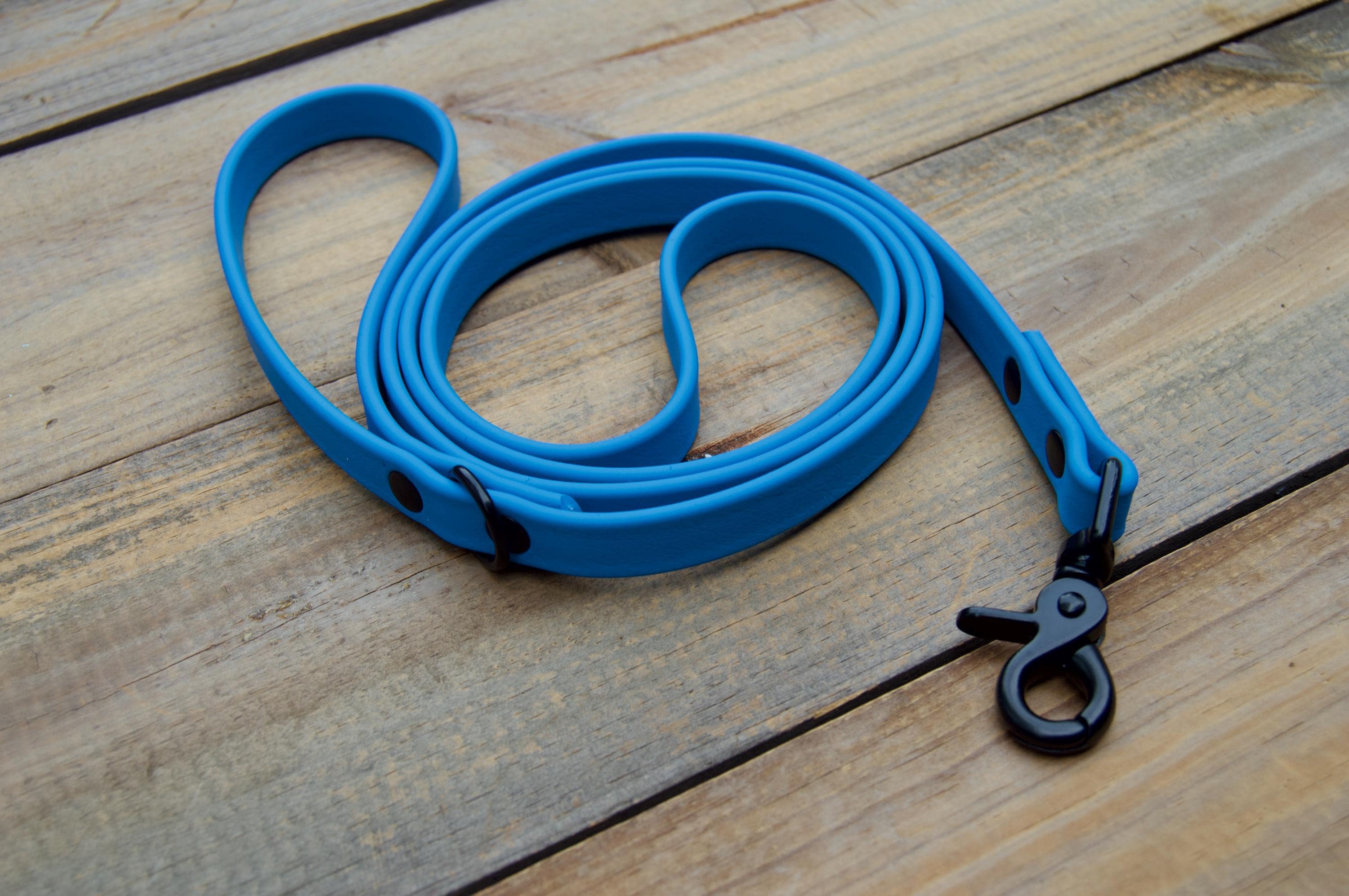 Bundle of Classic 1 INCH Biothane Dog Collar and 5/8 INCH Leash ...
