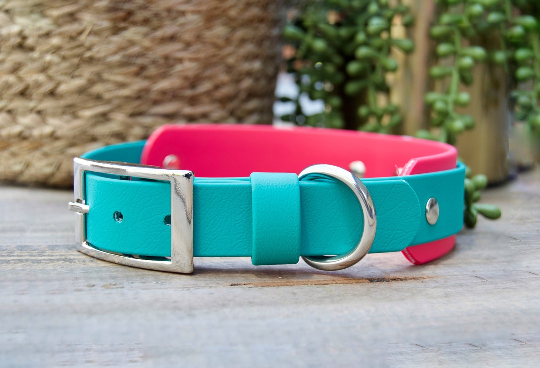 Double Layer Biothane® Dog Collar W/ Rear D-ring, Two Tone Color 1 Inch ...