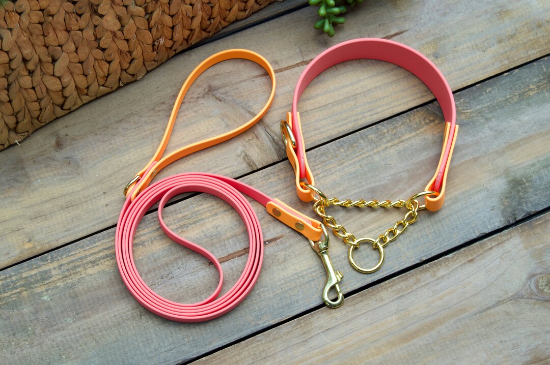 Bundle of Two Tone Tapered Martingale Biothane Dog Collar and Leash ...