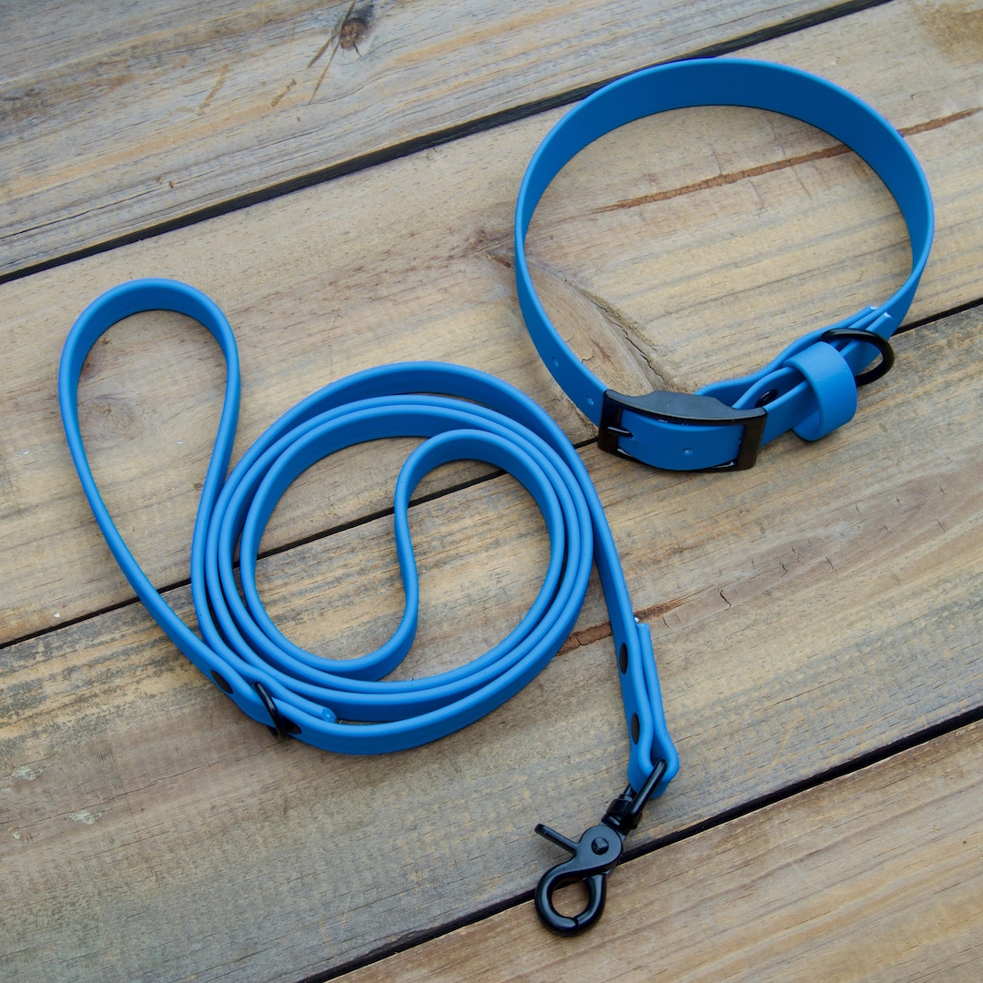 Bundle of Classic 1 INCH Biothane Dog Collar and 5/8 INCH Leash ...