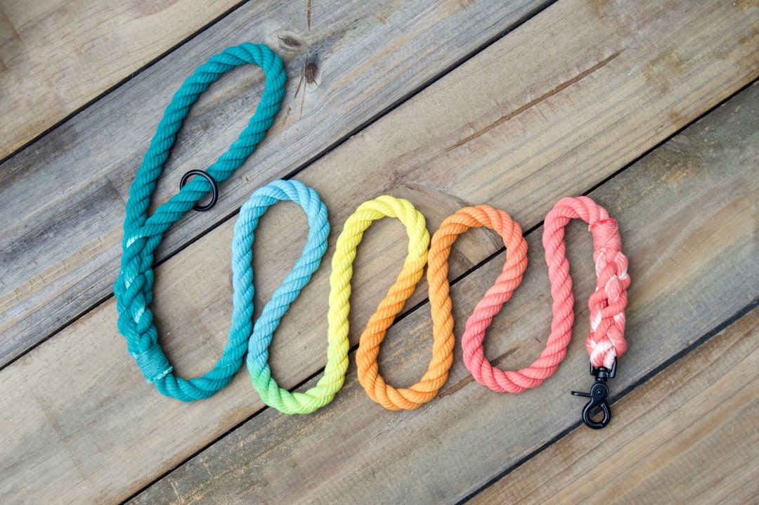 SUMMER BURST: Teal, Aqua, Yellow, Orange, Coral Rope Dog Leash Colorful ...