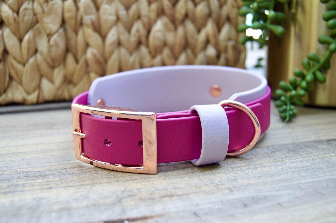 Double Layer Biothane Dog Collar, Two Tone/color 1" Inch and 1.5" Inch ...