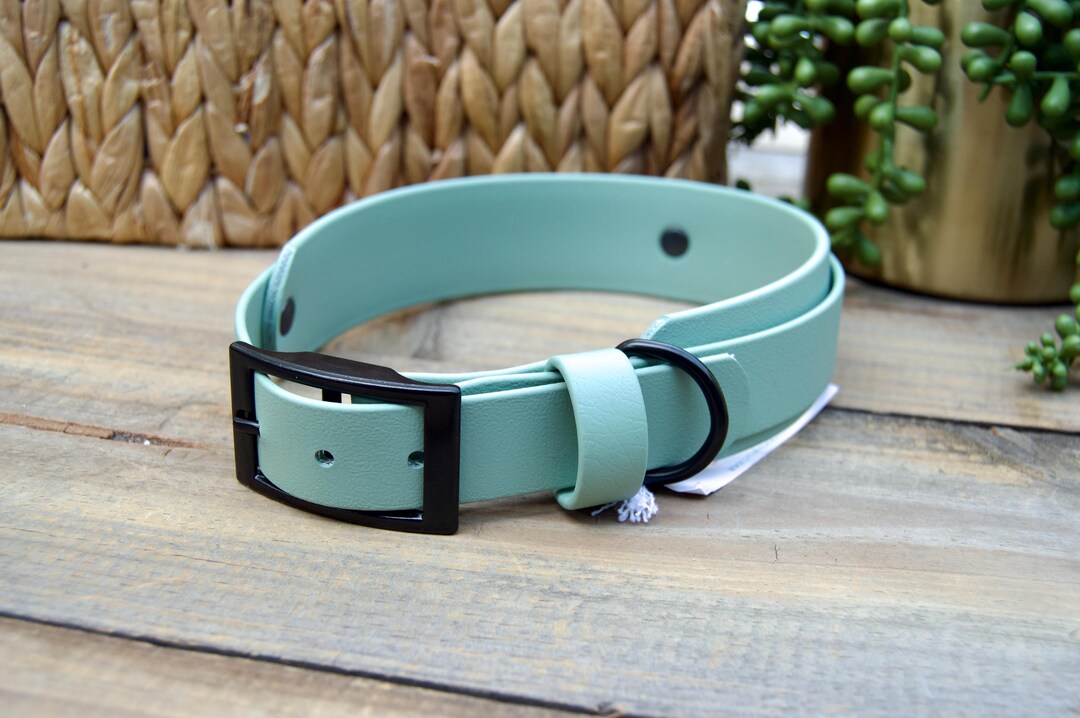Premade: 16-19 INCH Sage Green Double Layer Biothane Dog Collar - Etsy