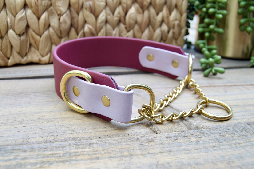 Two Tone Tapered Martingale Biothane® Dog Collar, 11.5 Inch Wide ...