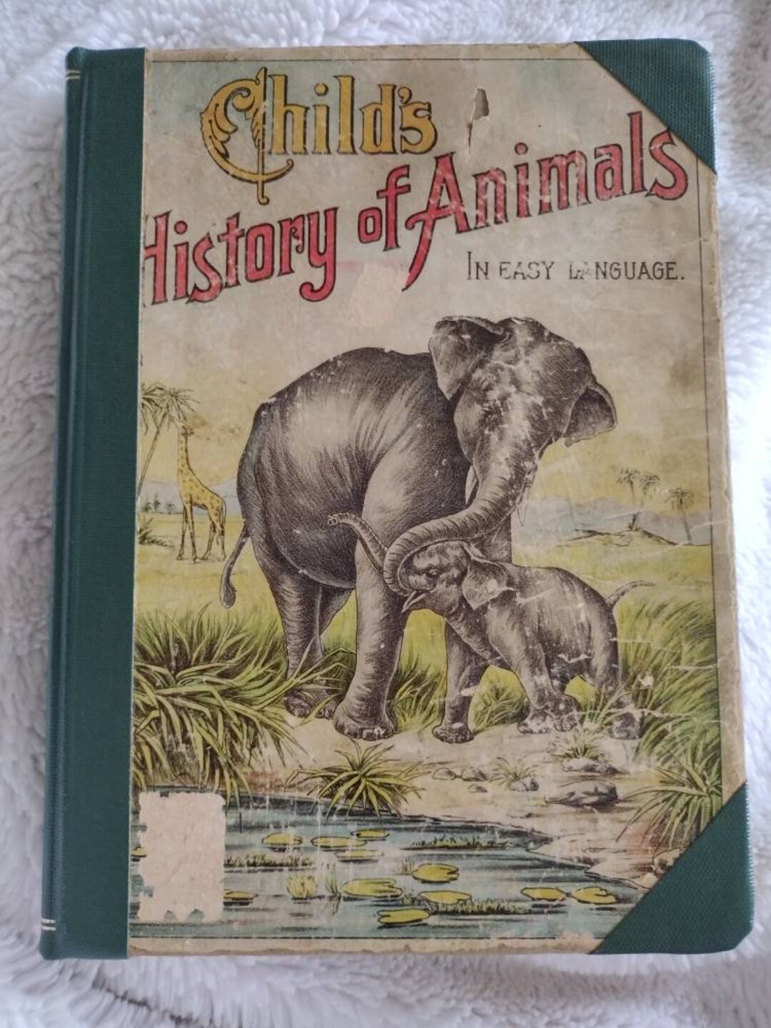 Antique Children's Book, Child's History of Animals in Easy Language ...