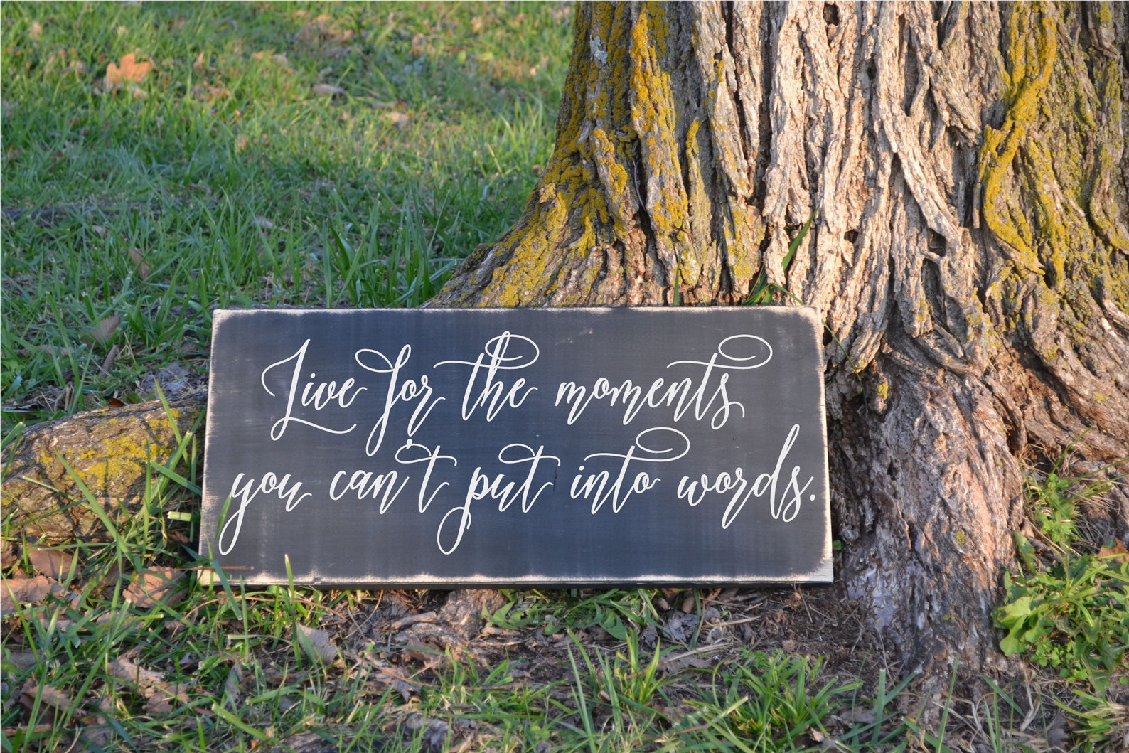 Live for the Moments You Can't Put Into Words Quote Vinyl - Etsy