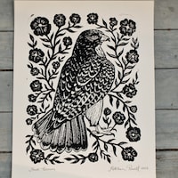 Red-tailed Hawk Perched on a Branch Nature Picture Print - Etsy