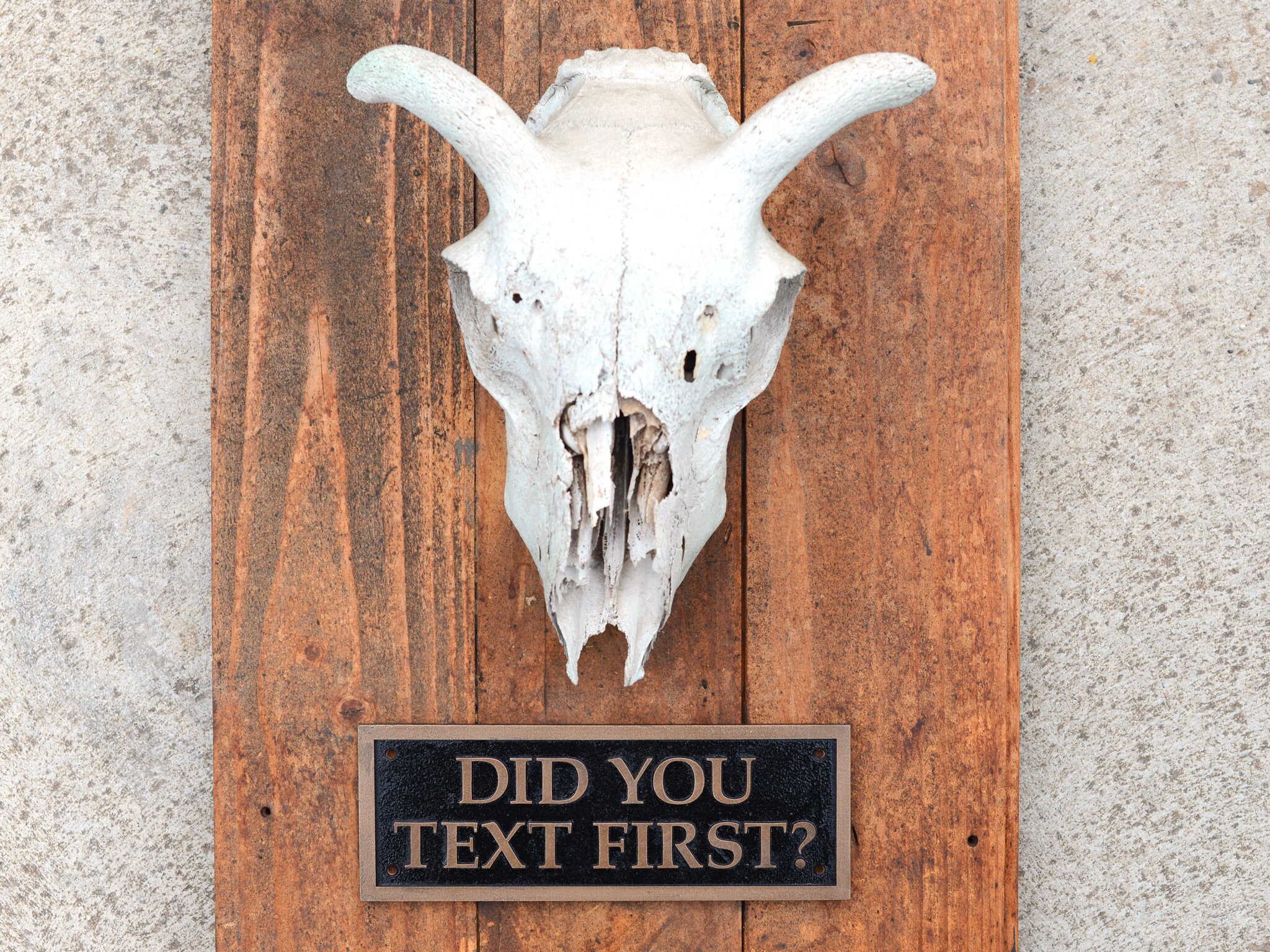 Did you TEXT FIRST Door sign. Wall Plaque. Old Style Cast | Etsy