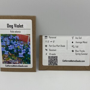 Viola Adunca - Western Dog Violet Seeds - Etsy
