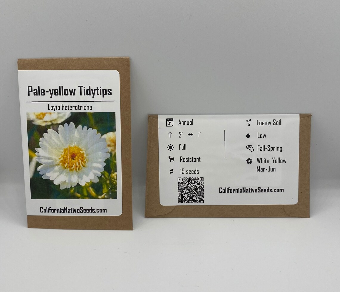 RARE: Pale-yellow Tidytips Layia Heterotricha Seeds | Etsy