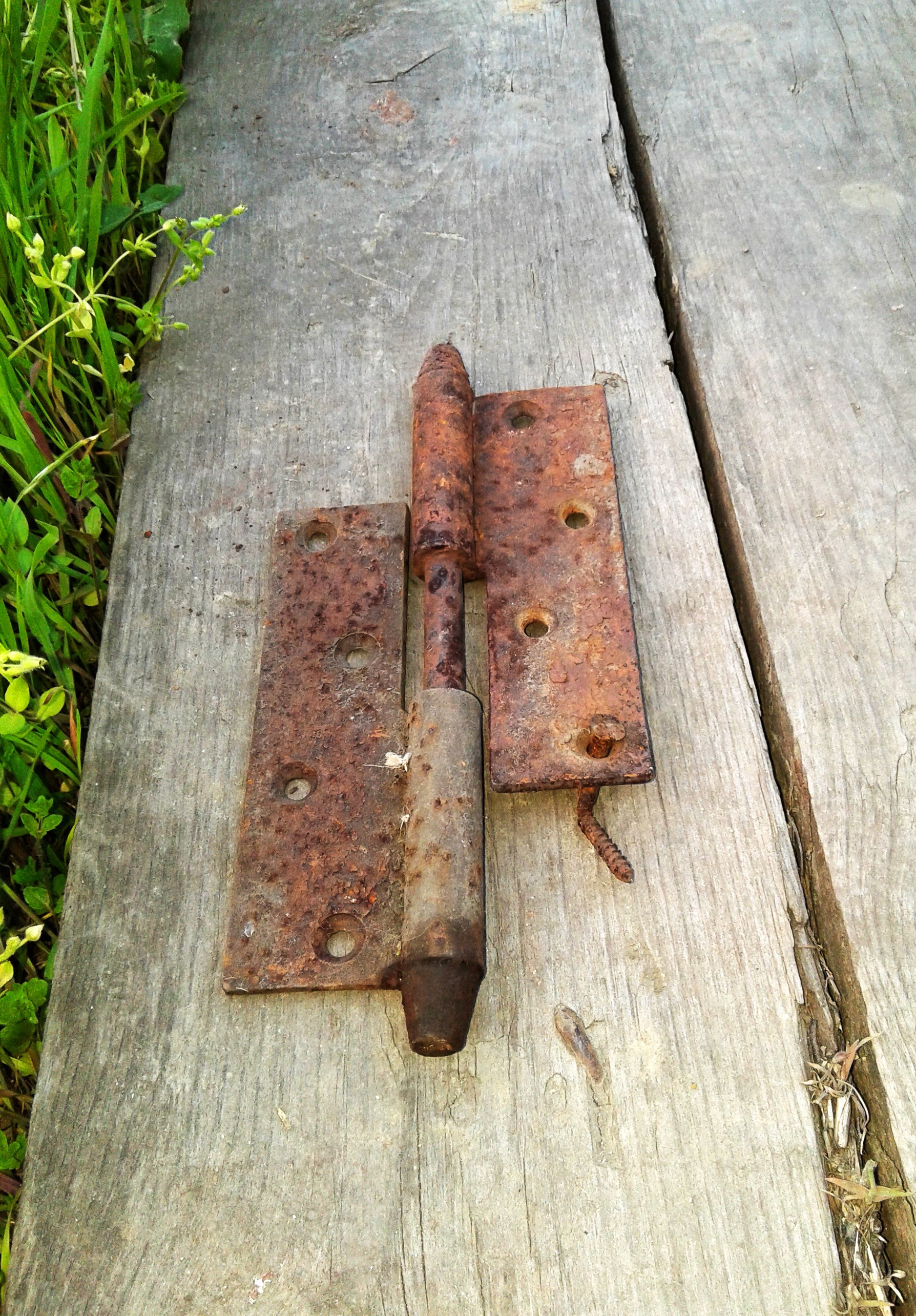 Rusty Door Hinge