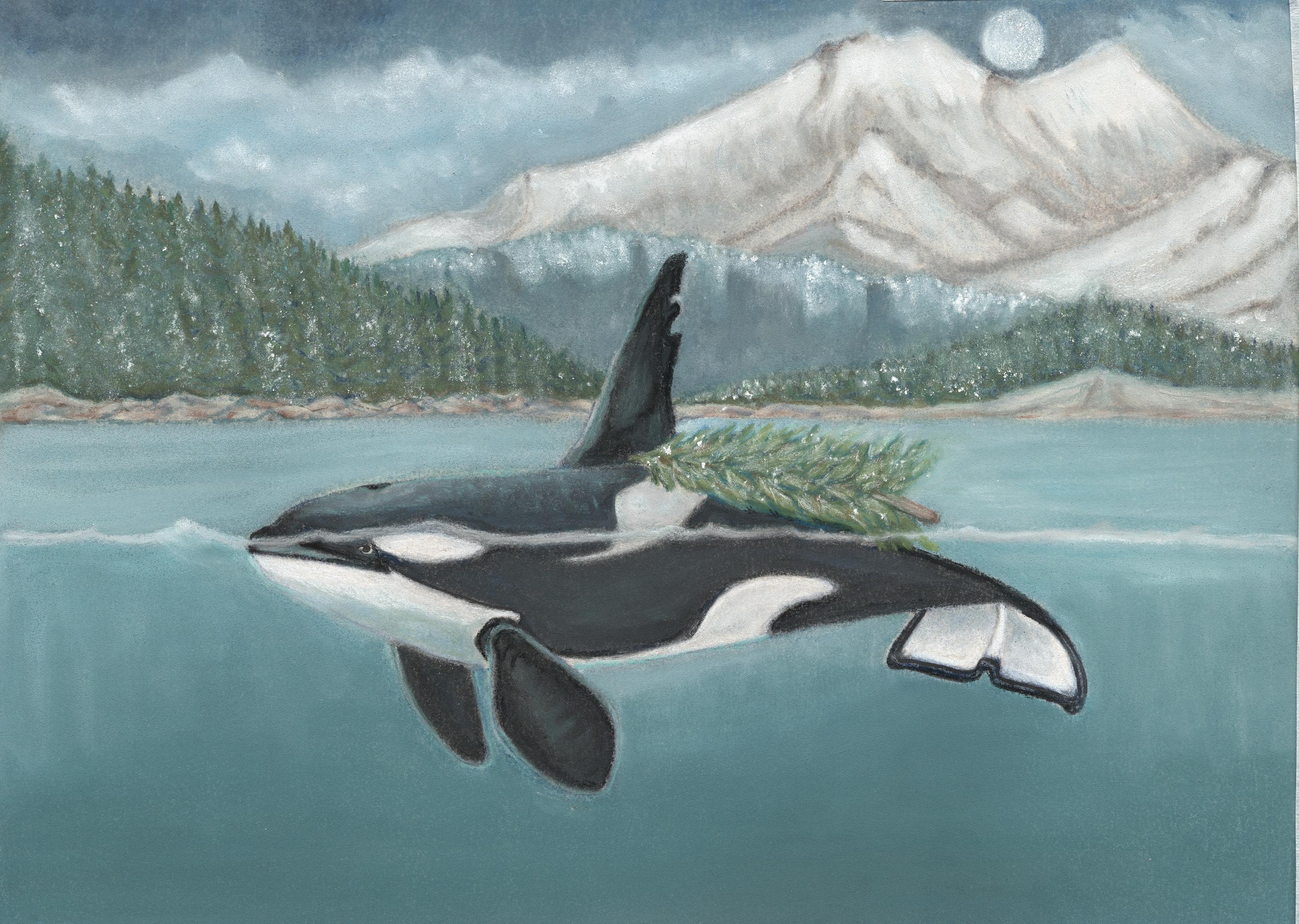 Orca Holiday Card, Killer Whale, Pastel Art, Orca Art, 5.5 X 4.25" Art ...