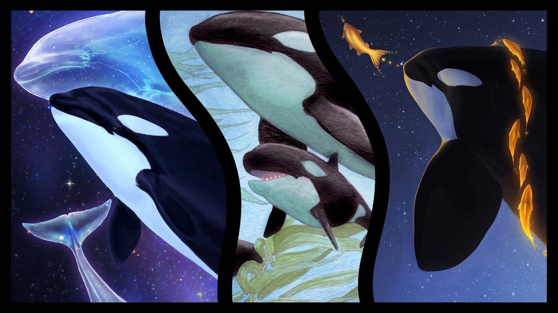 Orca, Killer Whale, Southern Resident, Charity Art Book Fundraiser for ...
