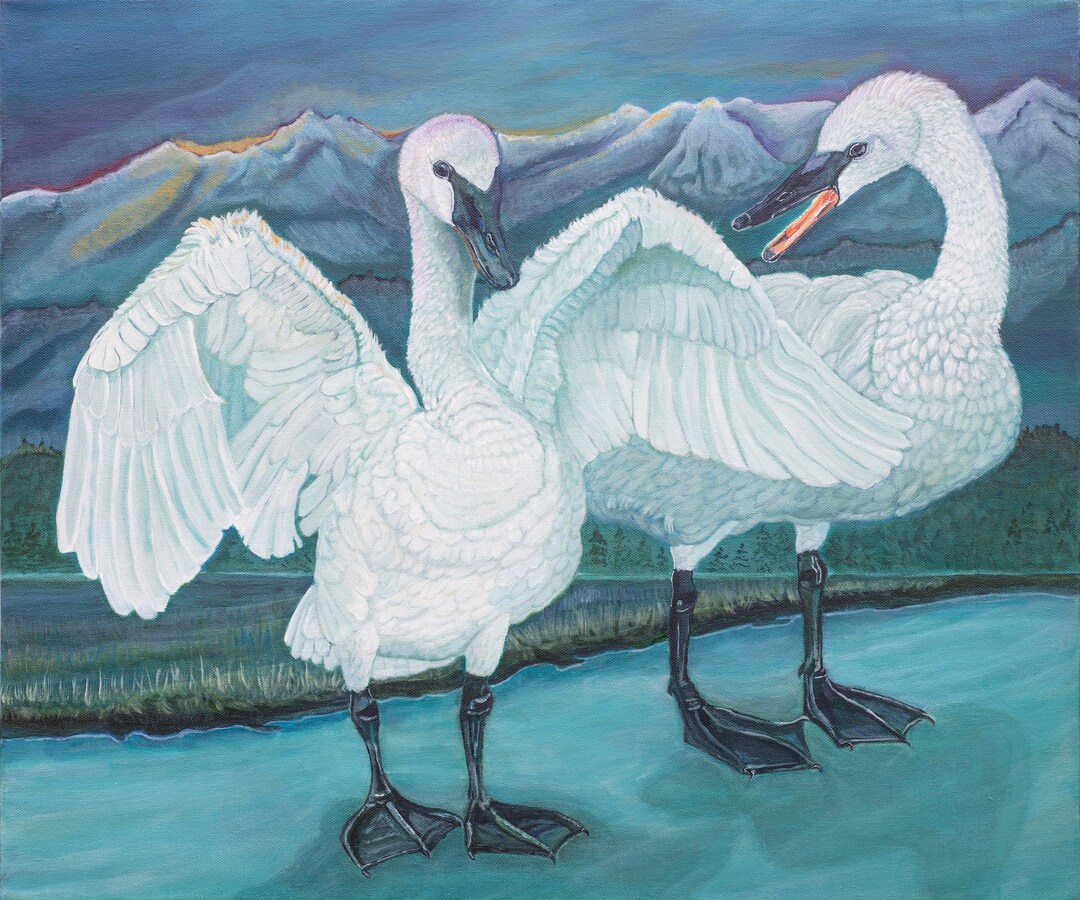 Trumpeter Swans, Giclee Art Prints, Pacific Northwest Art, Winter Scene ...