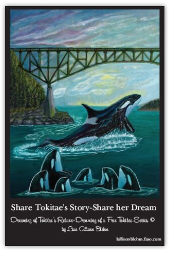 Orca Art Postcards 5 Total, Orca Anti-captivity Fundraiser for Orca ...