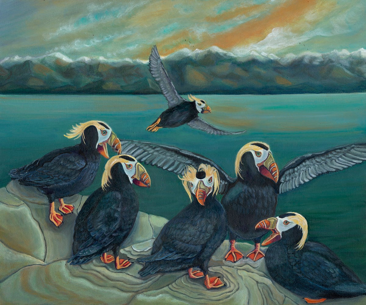 Tufted Puffin, Puffin, Art Print, Giclee Print 11 X 14" Seabirds ...