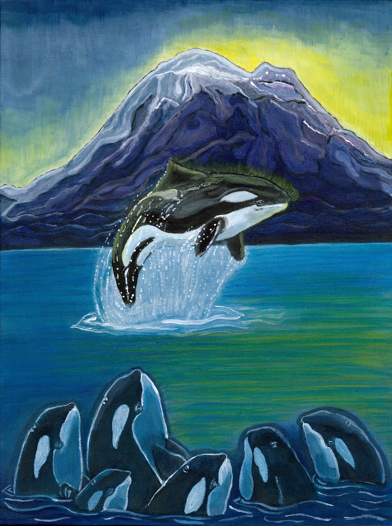Free Lolita Tokitae Orca Killer Whale Breaching Mt. Baker Fine Art 9 X ...