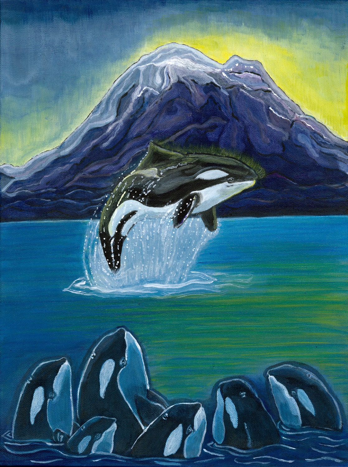 Free Lolita Tokitae Orca Killer Whale Breaching Mt. Baker Fine Art 9 X ...