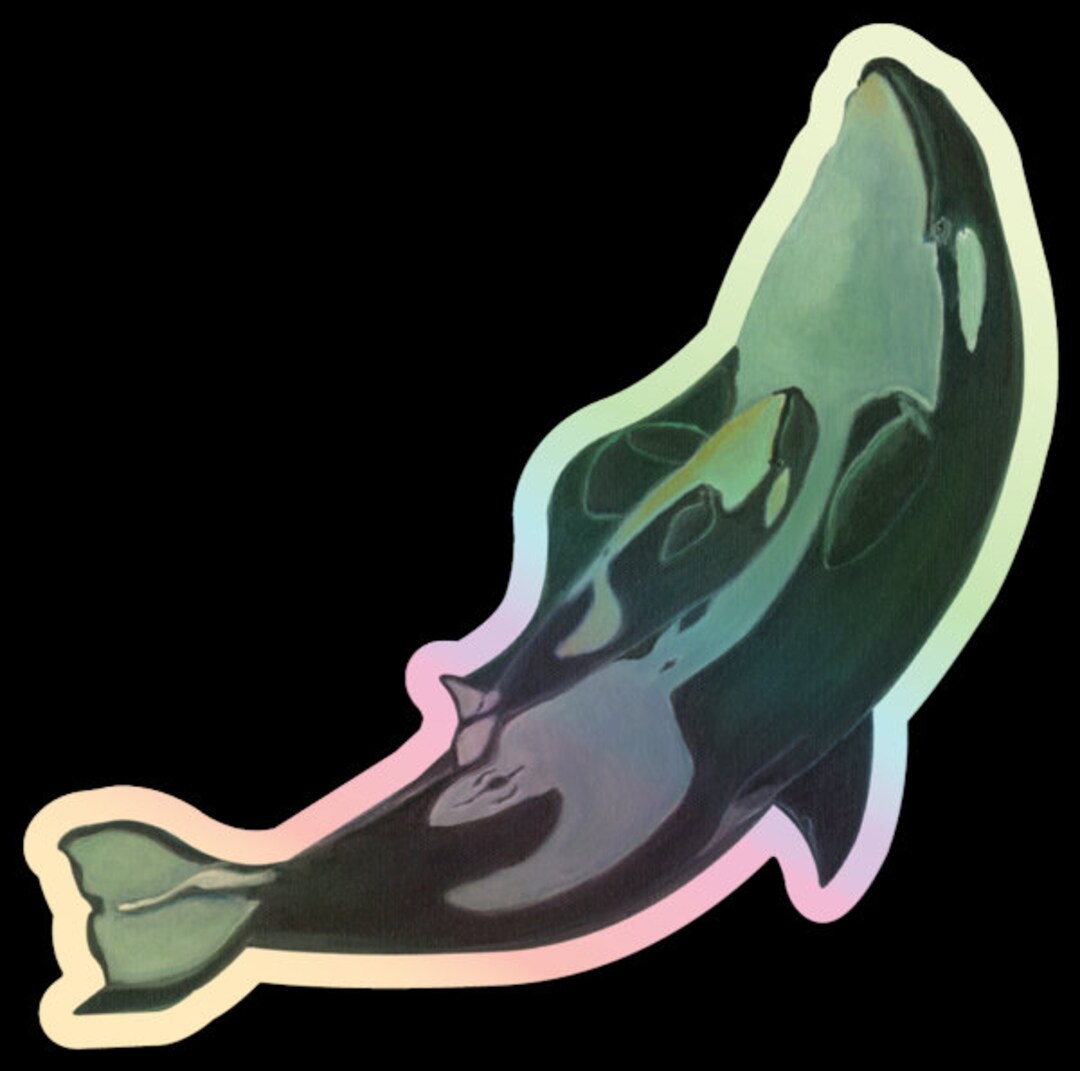 Orca Sticker Holographic Vinyl Die Cut Stickers, Southern Resident ...