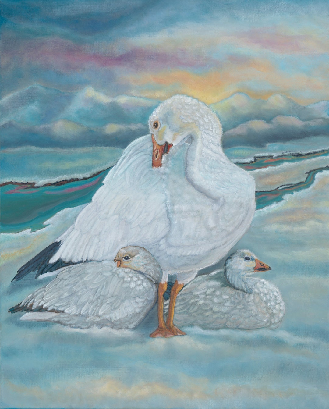 Snow Goose & Goslings, Giclee Art Print, Pacific Northwest Bird Art ...